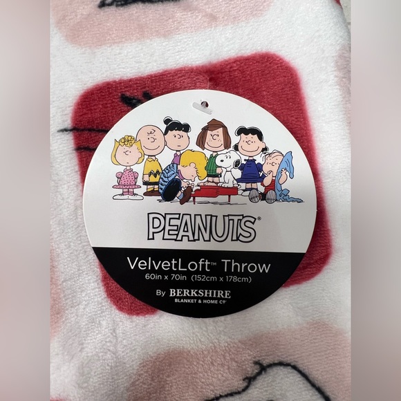 Peanuts | Bedding | Peanuts Valentines Day Snoopy Comic Squares ...